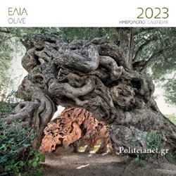 ΕΠΙΤΟΙΧΙΟ ΗΜΕΡΟΛΟΓΙΟ 2023, ΕΛΙΑ - ΒΟΥΒΕΣ - Βιβλιοπωλείο Πολιτεία