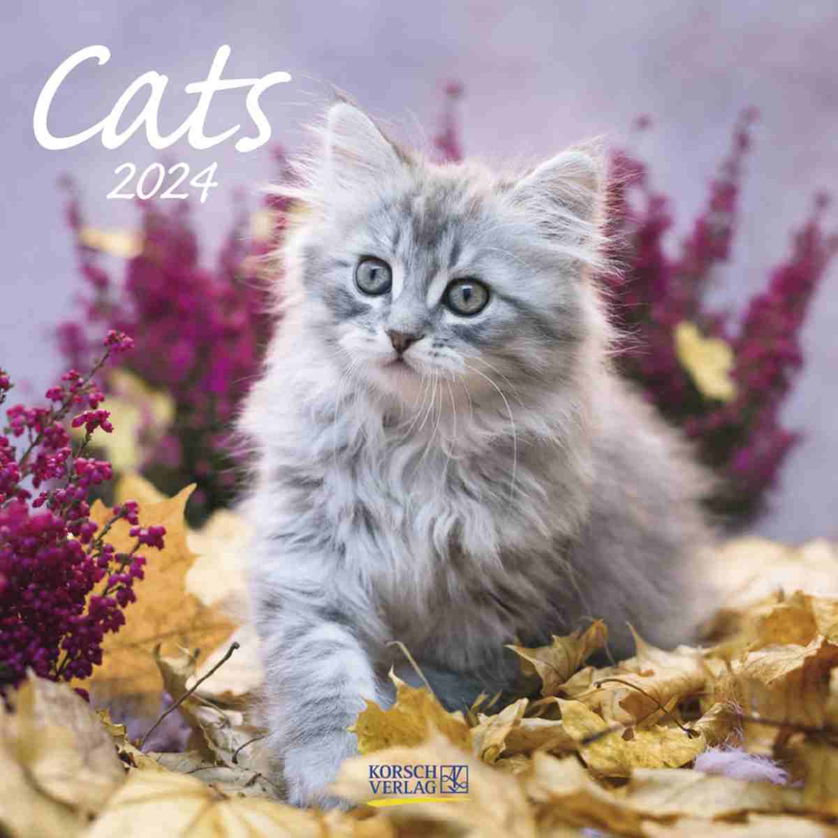 CATS // ΗΜΕΡΟΛΟΓΙΟ ΤΟΙΧΟΥ 2024 - Βιβλιοπωλείο Πολιτεία