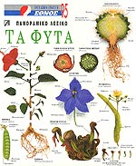 ΤΑ ΦΥΤΑ - Βιβλιοπωλείο Πολιτεία