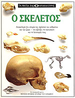 Ο Σκελετος // Ανακαλυψτε Την Ιστορια Του Σκελετου Του Ανθρωπου Και Των ...