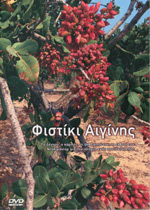 Φιστικι Αιγινης (dvd) // Το Δεντρο, Ο Καρπος, Οι Ανθρωποι Του, Οι ...
