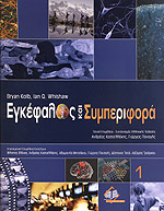 Εγκεφαλος Και Συμπεριφορα (πρωτος Τομος) - Kolb Bryan - Βιβλιοπωλείο ...