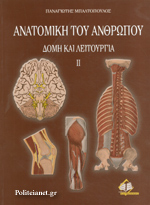 Ανατομικη Του Ανθρωπου (δευτερος Τομος) // Δομη Και Λειτουργια ...