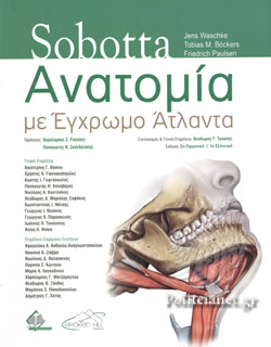 Sobotta // Ανατομια Με Εγχρωμο Ατλαντα (χαρτοδετη Εκδοση) - Waschke ...