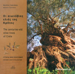 Οι Αιωνοβιες Ελιες Της Κρητης // Ιστορια - Φως - Πολιτισμος (διγλωσση ...