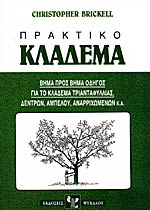 Πρακτικο Κλαδεμα // Βημα Προς Βημα Οδηγος Για Το Κλαδεμα Τριανταφυλλιας ...