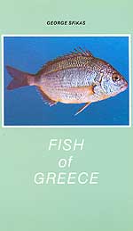 FISH OF GREECE // (ΕΞΑΓΛΩΣΣΗ ΕΚΔΟΣΗ - ΑΓΓΛΙΚΑ, ΕΛΛΗΝΙΚΑ, ΓΑΛΛΙΚΑ ...