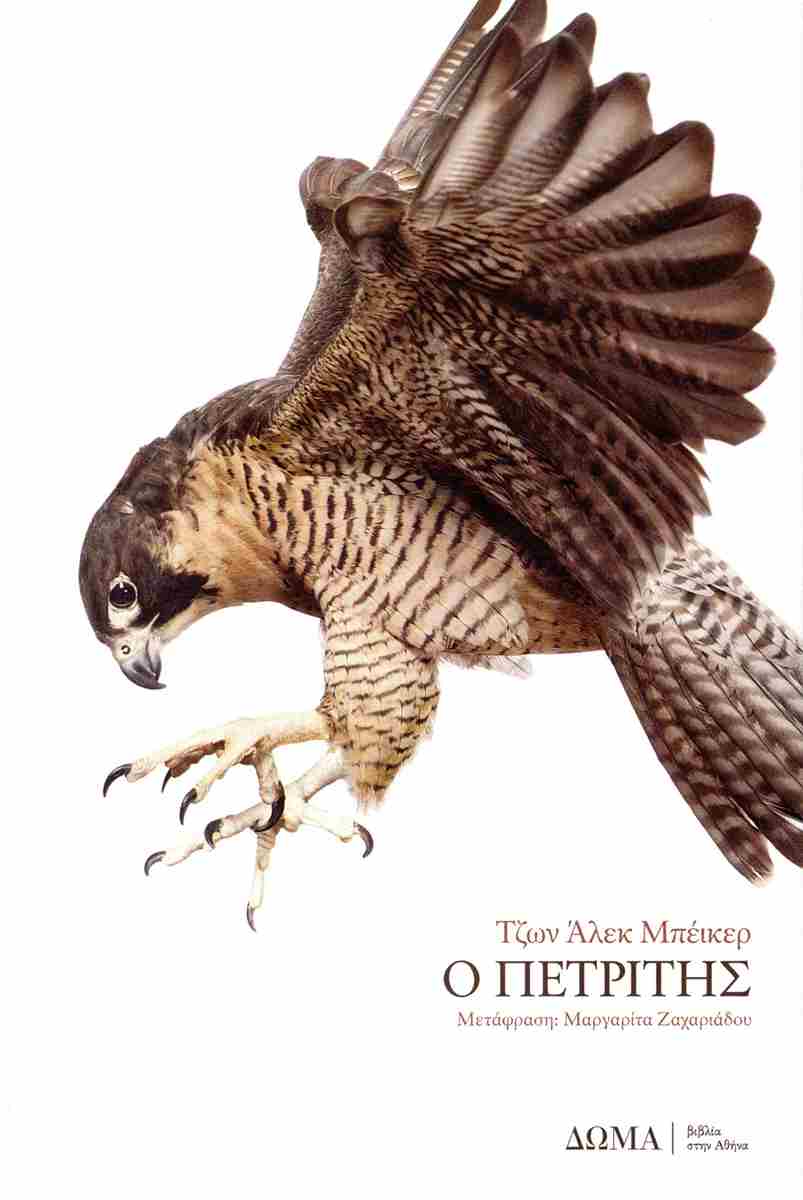 Ο πετρίτης - BAKER JOHN-ALEC - Βιβλιοπωλείο Πολιτεία