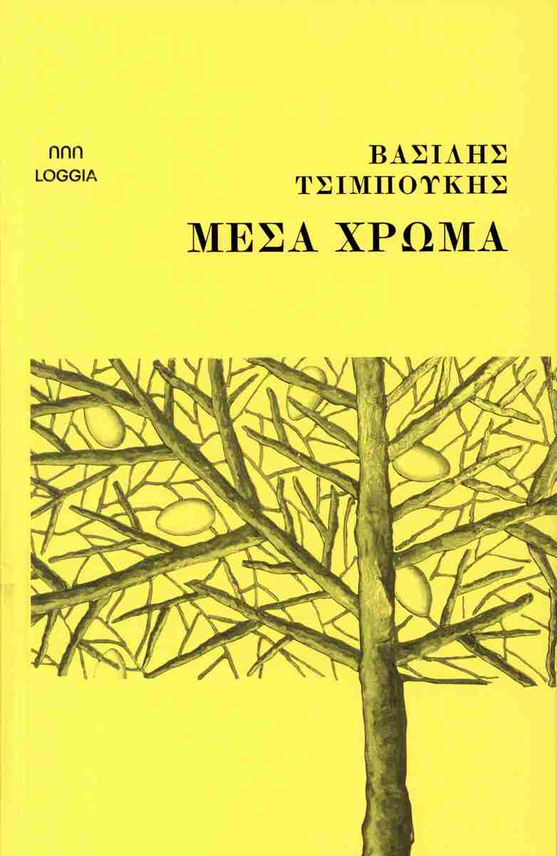 Μέσα Χρώμα - Τσιμπουκης Βασιλης - Βιβλιοπωλείο Πολιτεία