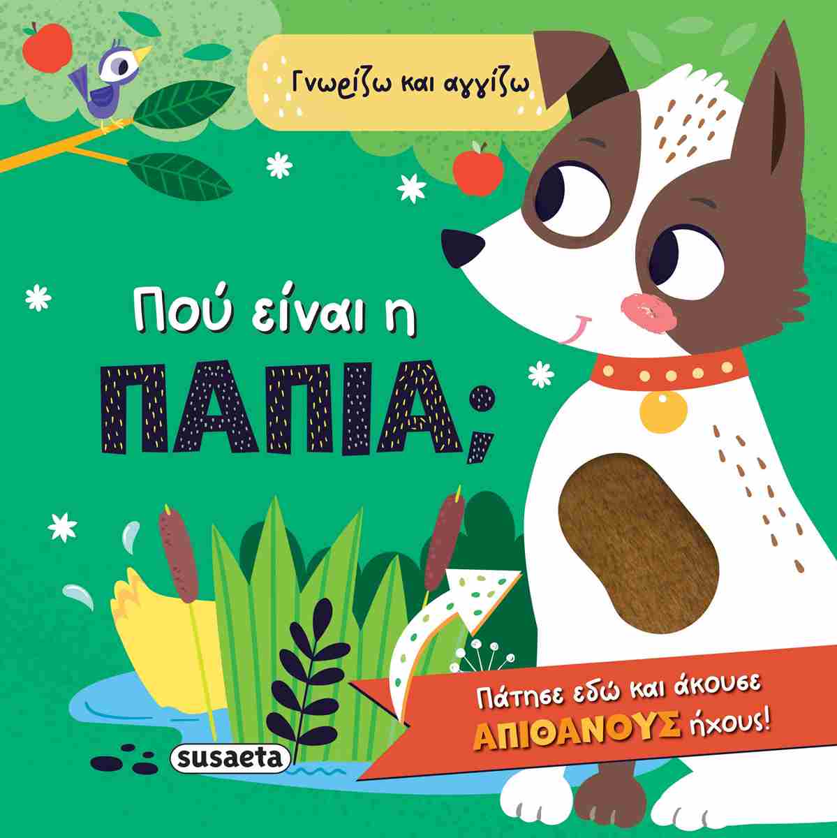 Πού είναι η πάπια; (σκληρόδετη έκδοση) // Γνωρίζω και αγγίζω ...