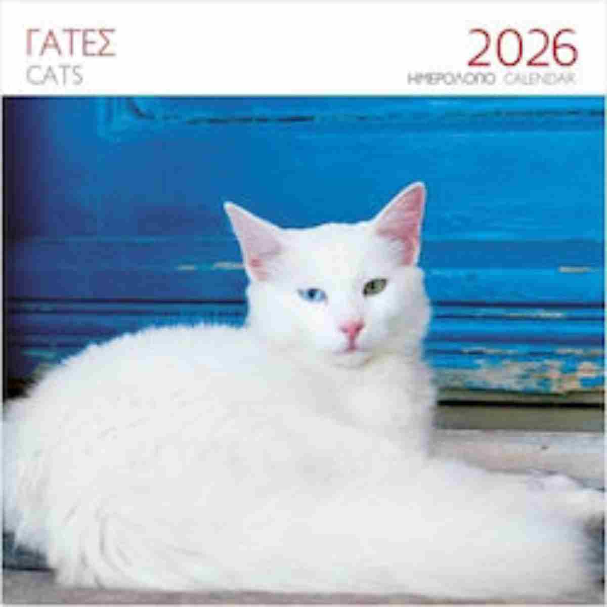 Επιτοίχιο ημερολόγιο 2026, Γάτες (άσπρη) - Βιβλιοπωλείο Πολιτεία