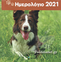 ΣΚΥΛΑΚΙΑ // ΗΜΕΡΟΛΟΓΙΟ 2021 (ΤΟΙΧΟΥ) - Βιβλιοπωλείο Πολιτεία