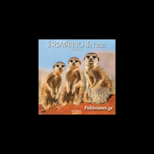 ERDMANNCHEN MEERCATS // ΗΜΕΡΟΛΟΓΙΟ 2021 - Βιβλιοπωλείο Πολιτεία