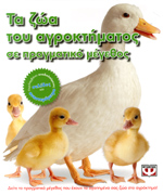 Τα Ζωα Του Αγροκτηματος Σε Πραγματικο Μεγεθος // Δειτε Το Πραγματικο ...